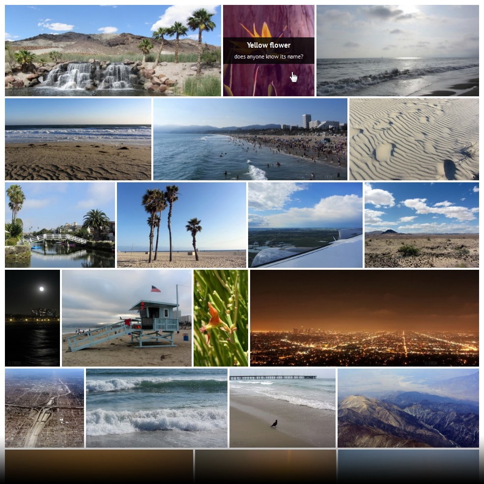 Justified Image Grid v4.1 | GPL Vault