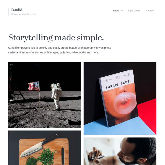 Array Themes Meteor WordPress Theme v1.1.6 | GPL Vault