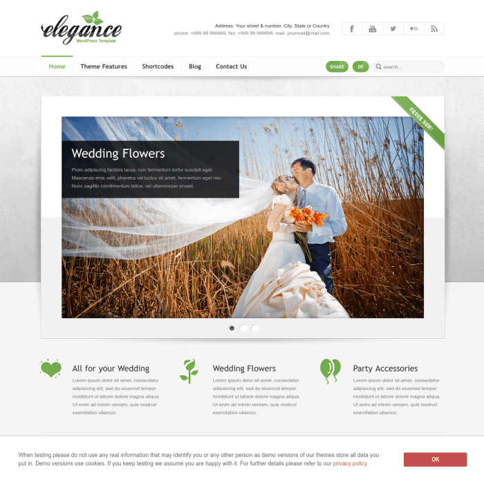 AIT - Elegance WordPress Theme v1.26 | GPL Vault