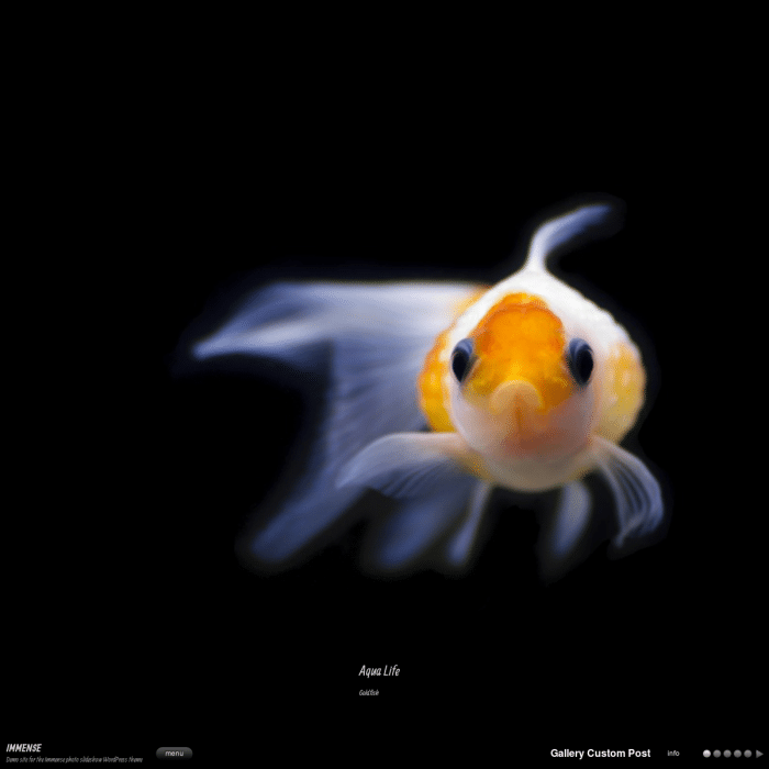 Graph Paper Press Intra WordPress Theme v1.0.8 | GPL Vault