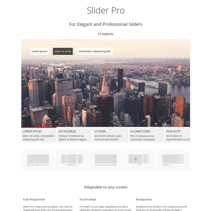 Slider Pro v4.6.0 | GPL Vault