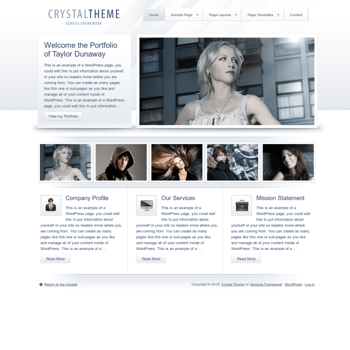 StudioPress Crystal WordPress Theme v1.0.1 | GPL Vault